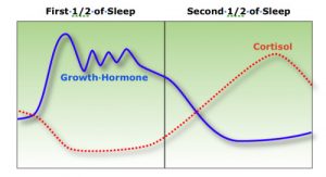How Will Sleeping Help You With HGH? | HGHTruth.org